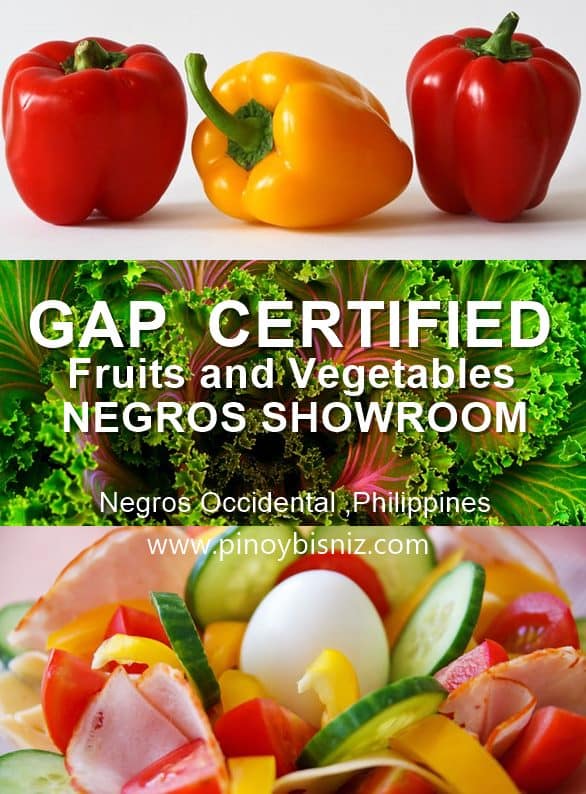 GAP CERTIFIED FRUITS AND VEGETABLES AT THE NEGROS SHOWROOM